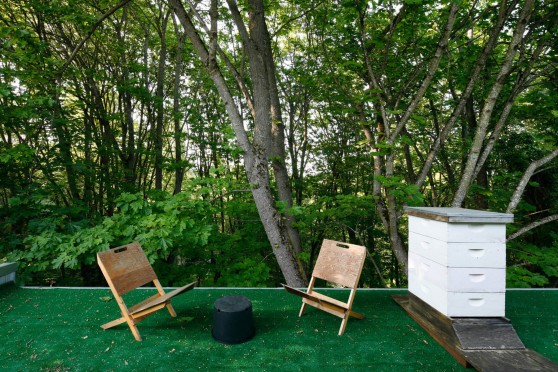 SHED Architecture & Design | Seattle Architects | Treehouse