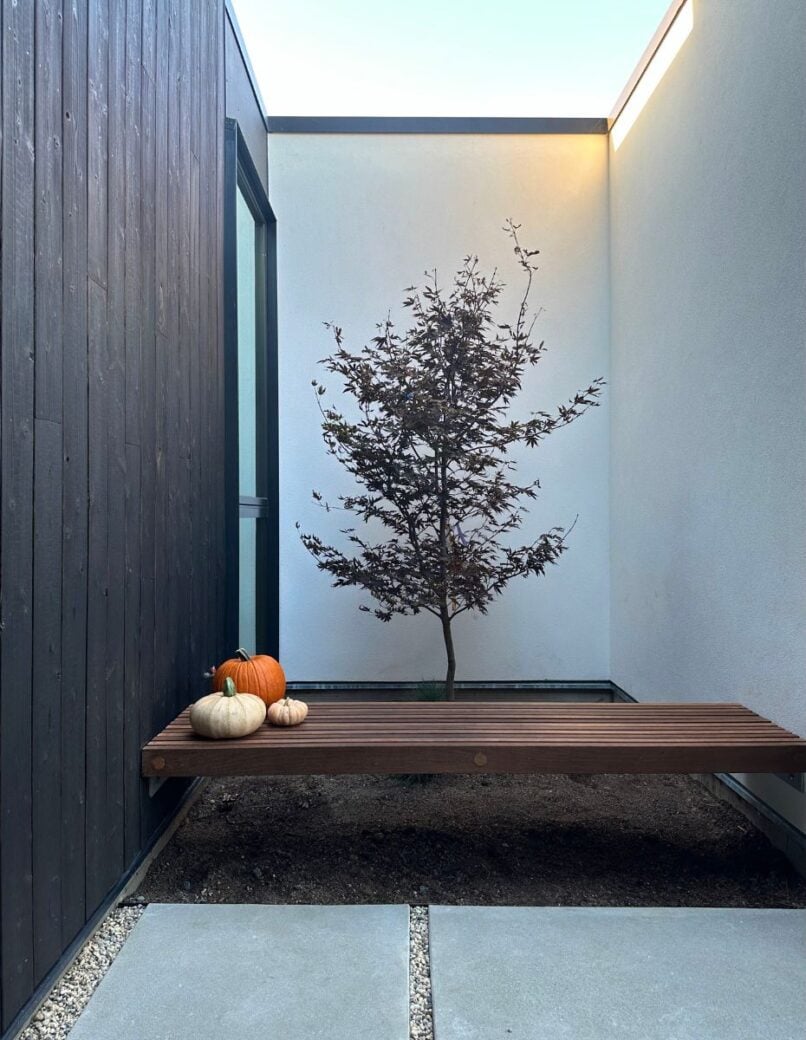 Cupertino Courtyard House - SHED Architecture & Design